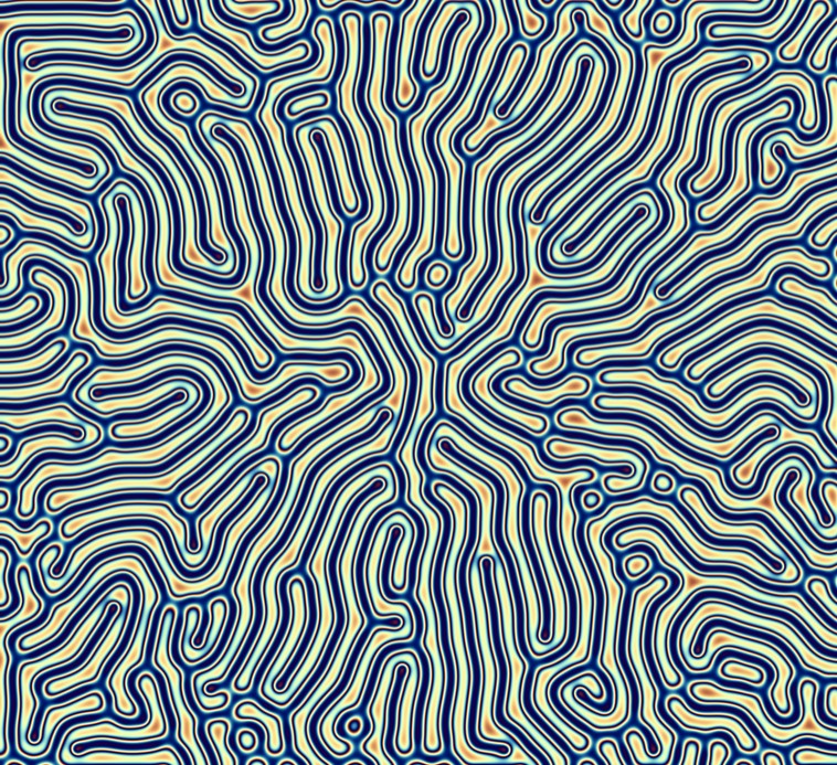 Felipe Loaiza Portfolio